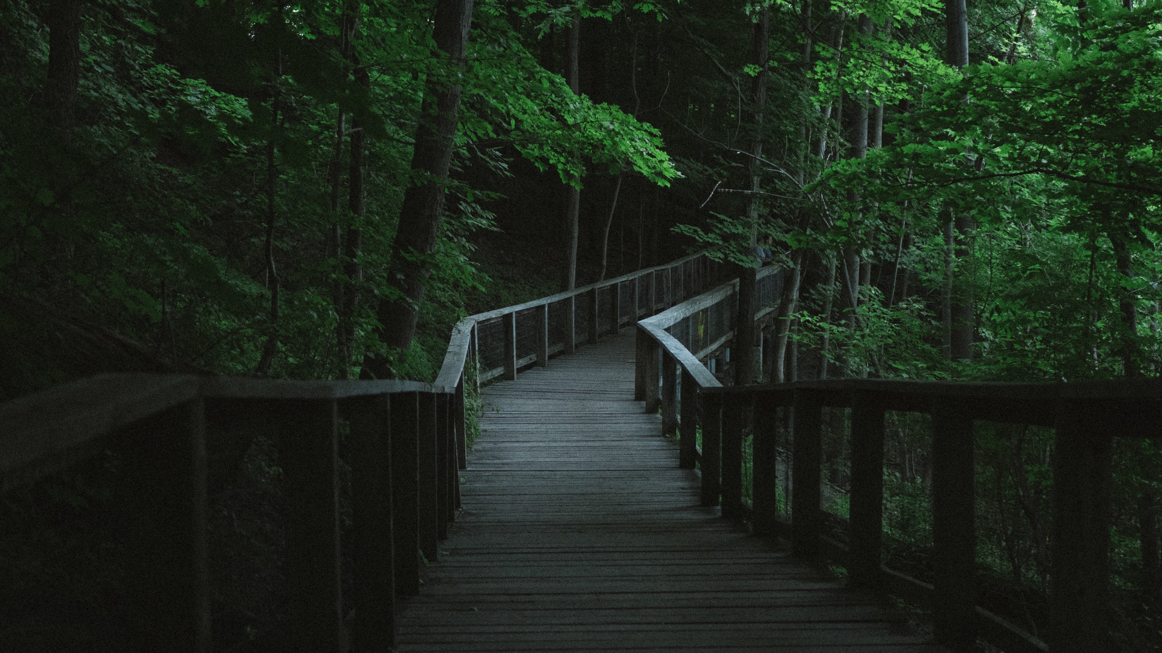 Slideshow - background – 🎒 Design Packs